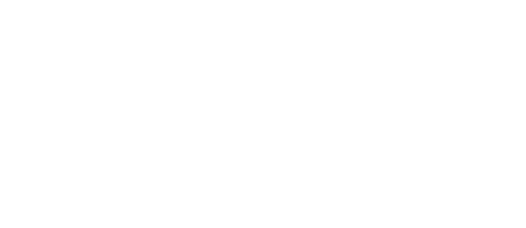 Download Wild Goose Logo-01 PNG Image with No Background - PNGkey.com
