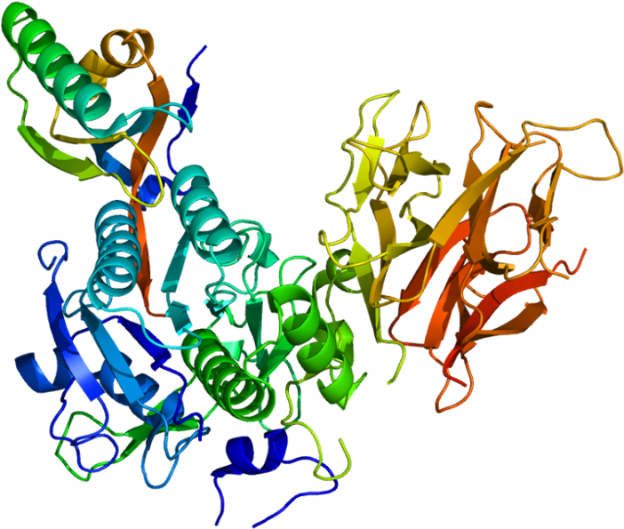 Download The Enzyme Proprotein Convertase Subtilisin Kexin Type ...
