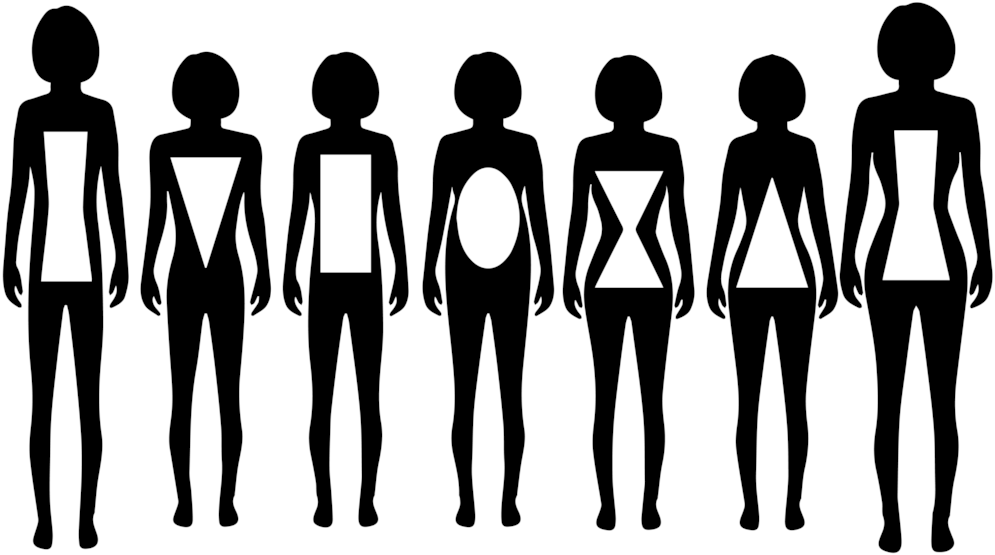 Body Types-02 - Free Transparent PNG Download - PNGkey