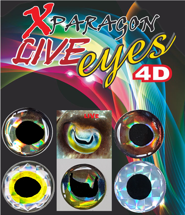 Download Live Eyes 4d - Circle PNG Image with No Background - PNGkey.com