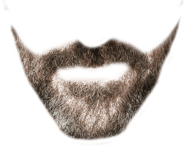 Designer Transparent Background - Beard Transparent Background - Free ...