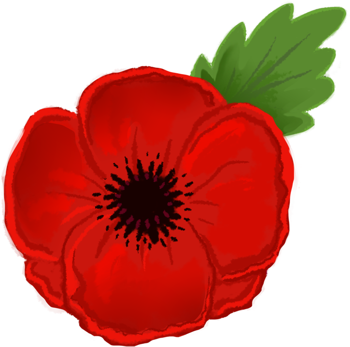 Red Poppy Remembrance Day