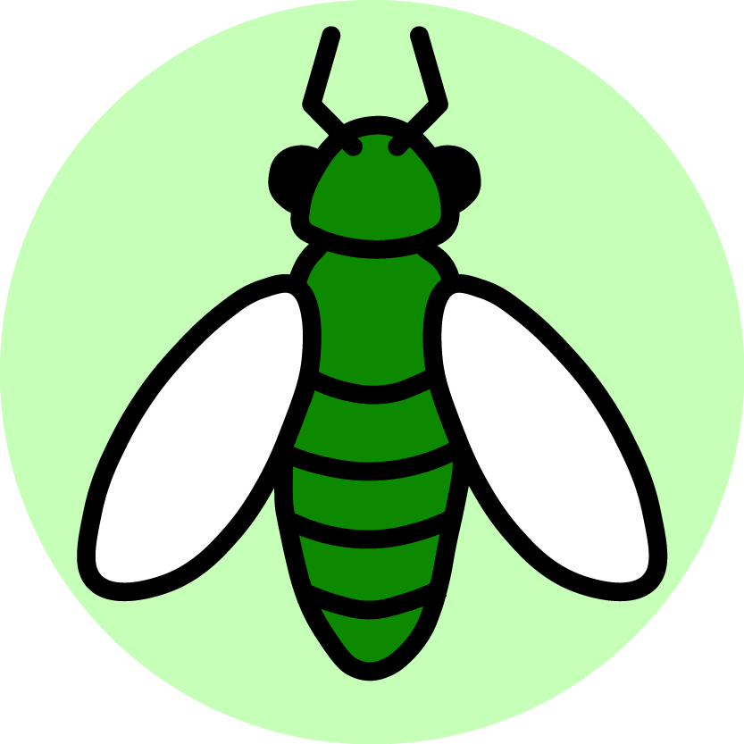 Download We Love Bugs - Insect PNG Image with No Background - PNGkey.com