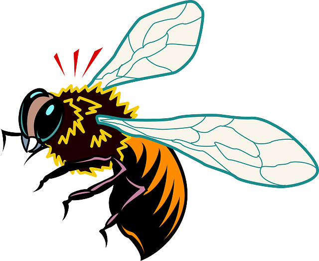 Download Stylized, Bee, Style, Wings, Art, Startled, Insect - African ...