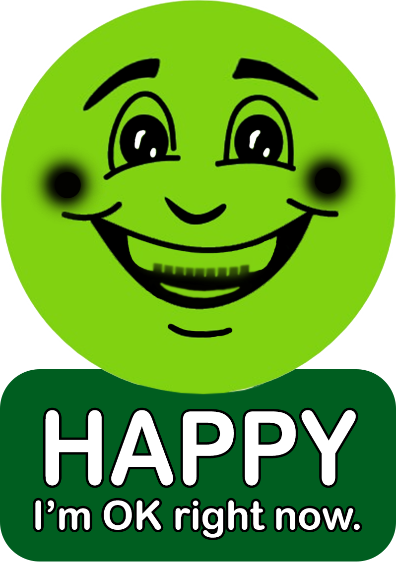 Download Emotion Faces For Kids Happy Emotions Pinterest - I D Rather ...