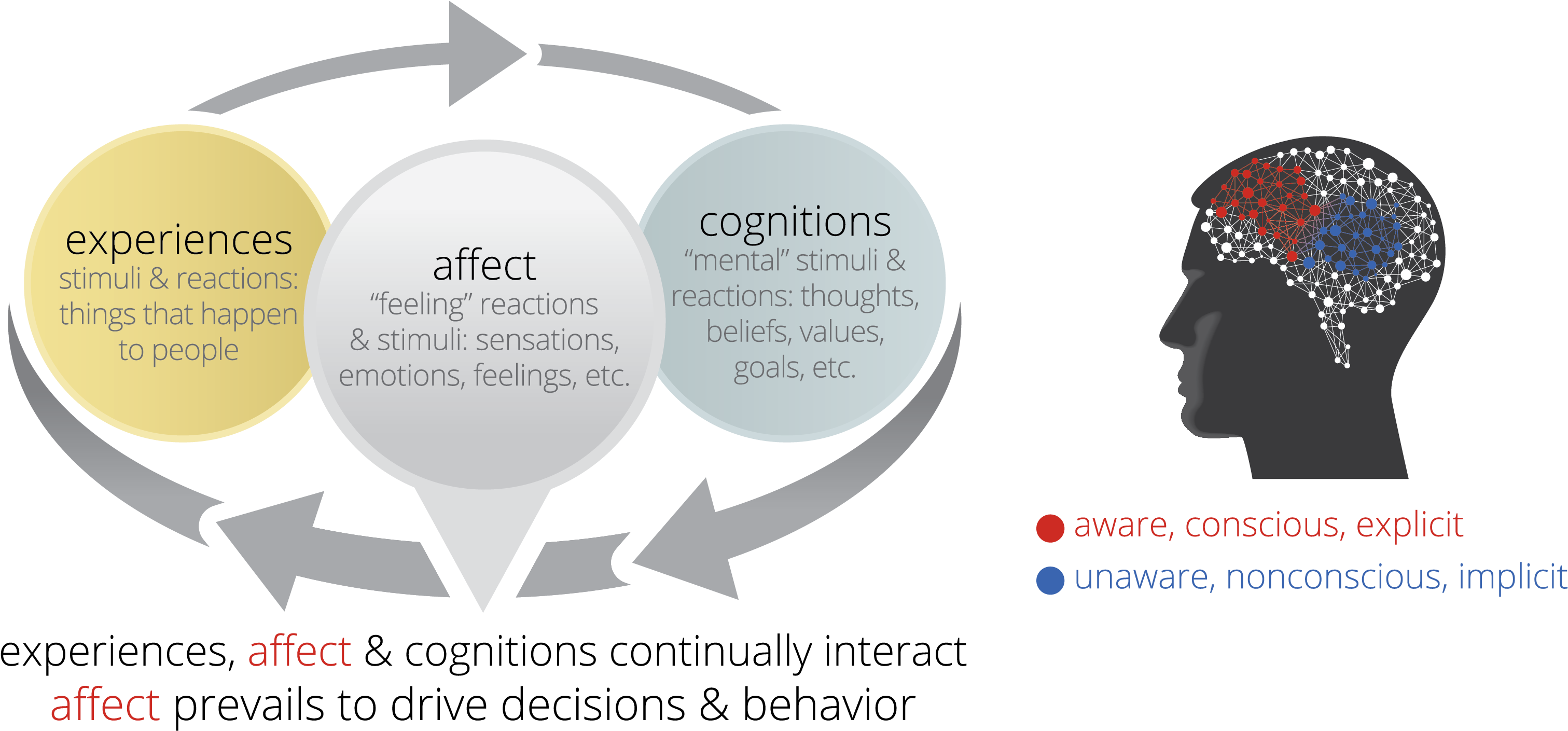 Emotional Dynamic Diagram - Dynamic Diagrams - Free Transparent PNG ...