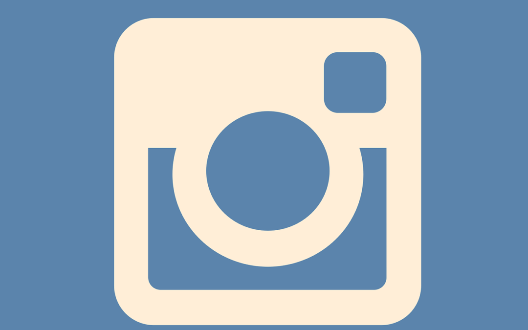 Download The Best Instagram Bot In - Instagram PNG Image with No ...