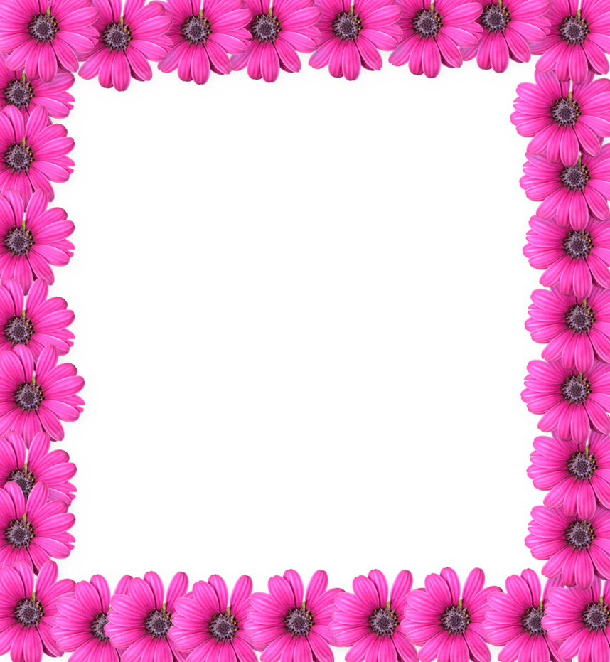 Download Abstract Floral Frame Png - Flower Frame Png PNG Image with No ...