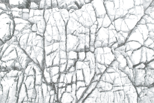 Download Vector Transparent Download Environment Textures Show ...