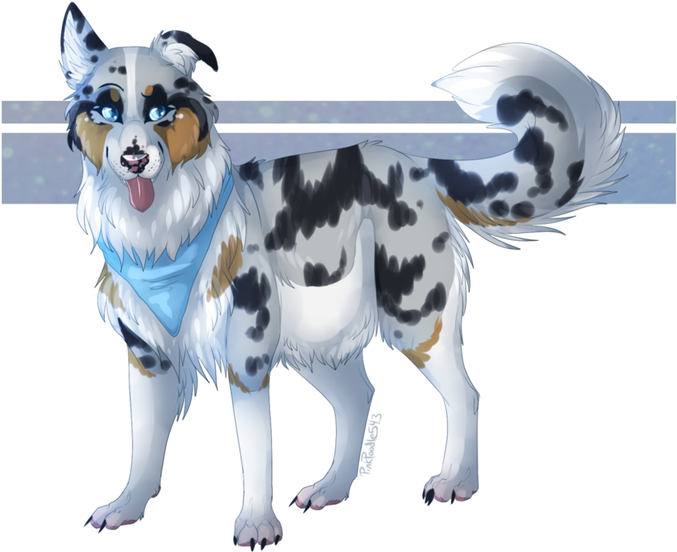 Australian Shepherd Clipart Chibi - Cute Chibi Australian Shepherd ...