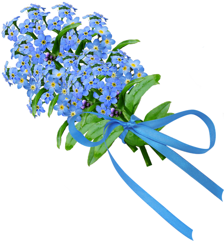 Download Forget Me Not In Bouquets - Forget Me Nots Transparent PNG ...