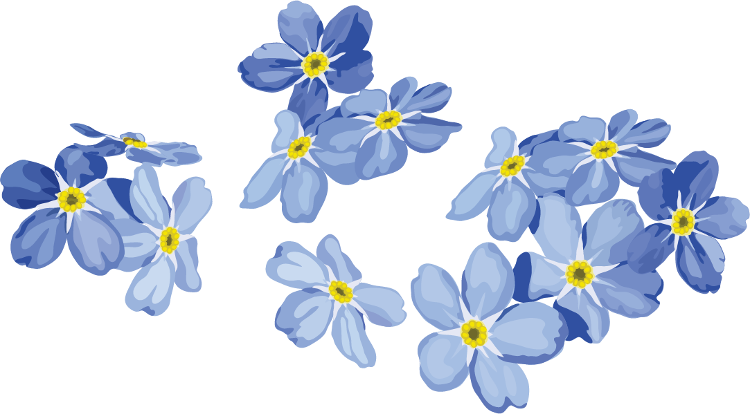 Download Forget Me Not Png Image Background - Vector Png Flower Png PNG ...