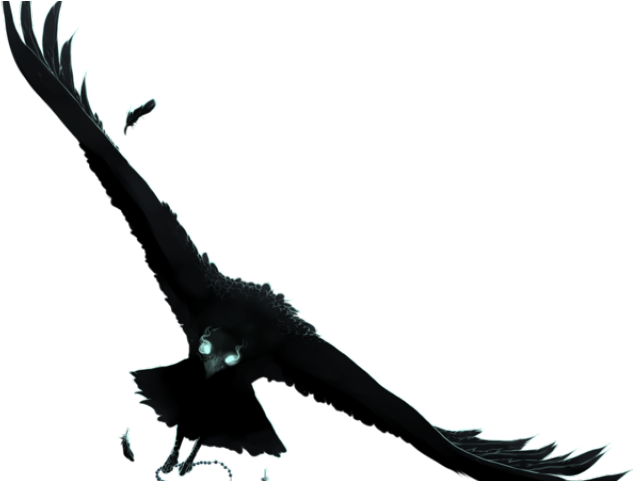 Download Drawn Raven Mid Flight - Anime Raven Png PNG Image with No ...