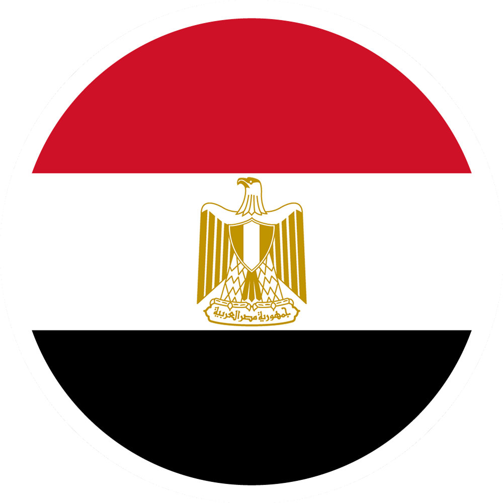 Download Football Logos - Egypt Flag Icon Png PNG Image with No ...