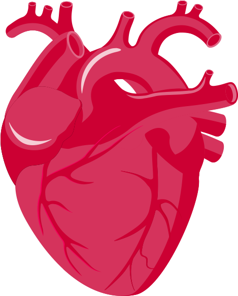 Download Rate Clipart Heart Failure - Insuficiencia Cardiaca Png PNG ...