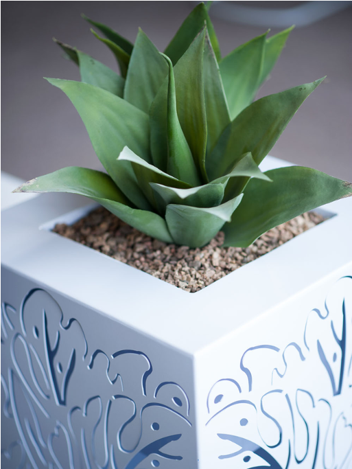 Download Metallic Botanics Monstera - Agave PNG Image with No ...