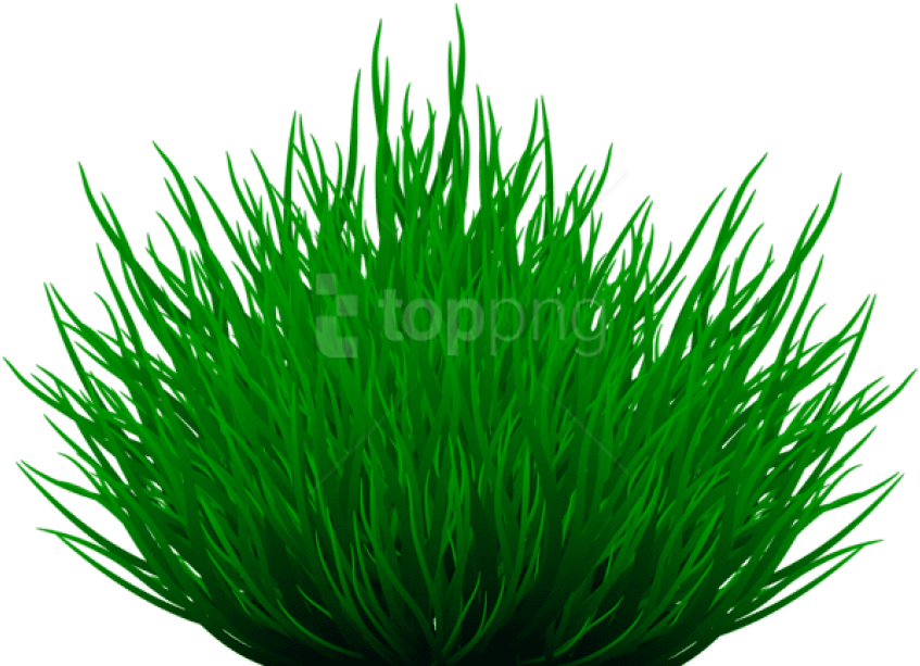 Download Free Png Download Grass Path Png Images Background ...