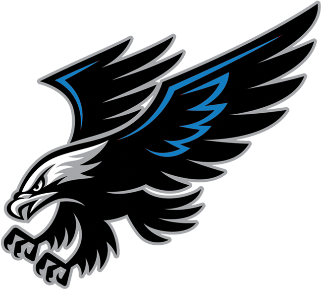 Download Hawk Decals PNG Image with No Background - PNGkey.com