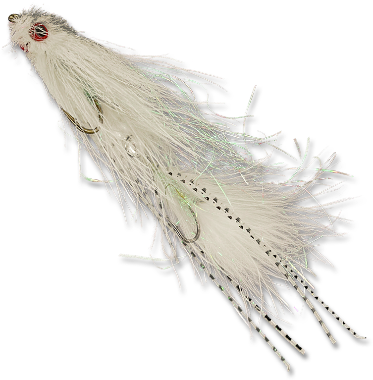 Download Lynch Mob - Insect PNG Image with No Background - PNGkey.com