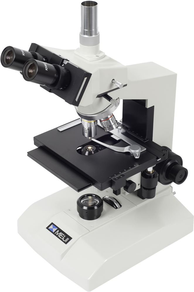 Download Meiji Ml5970 Trinocular Phase Contrast Microscope - Phase ...