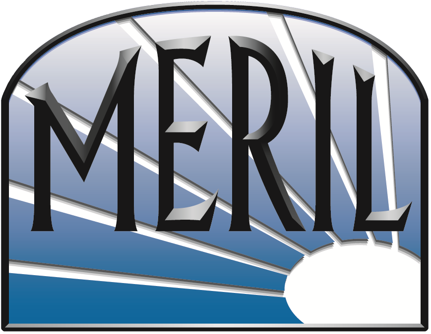 Download Helping People With Disabilities Live Independently - Meril ...