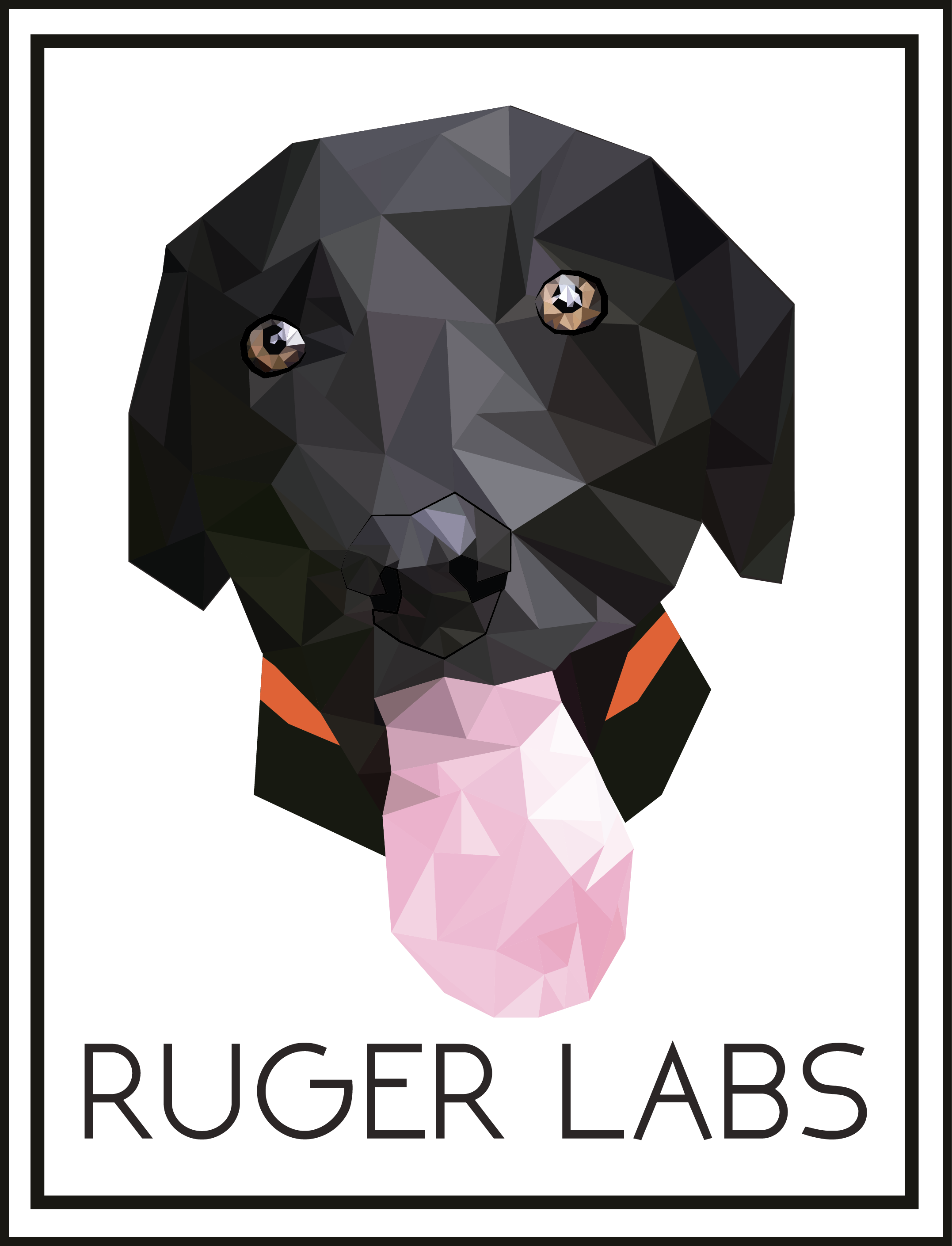 Download Ruger Labs Logo - Cv Template Student First Job PNG Image with ...