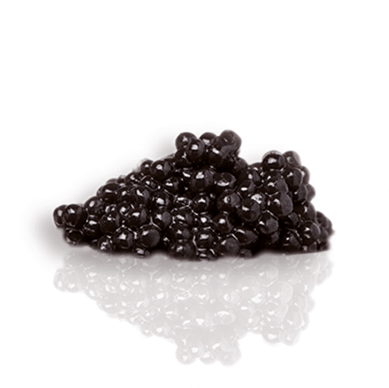Download Caviar - Caviar Gif PNG Image with No Background - PNGkey.com