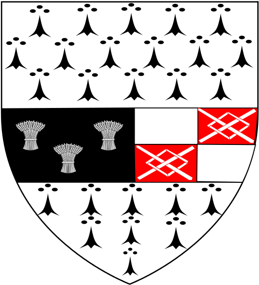 Download Laois - Kilkenny County Council Crest PNG Image with No ...