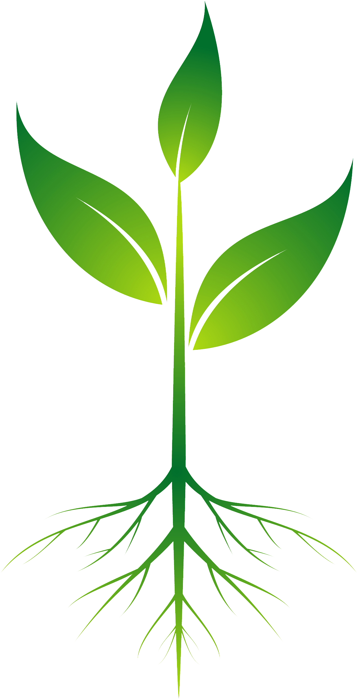 Download Root Plant Clip Art - Plant With Roots Png PNG Image with No Background - PNGkey.com