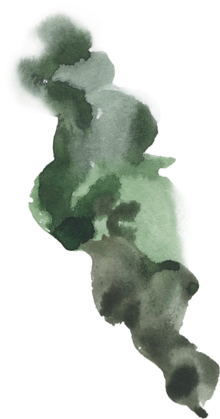 Shape - Free Transparent PNG Download - PNGkey