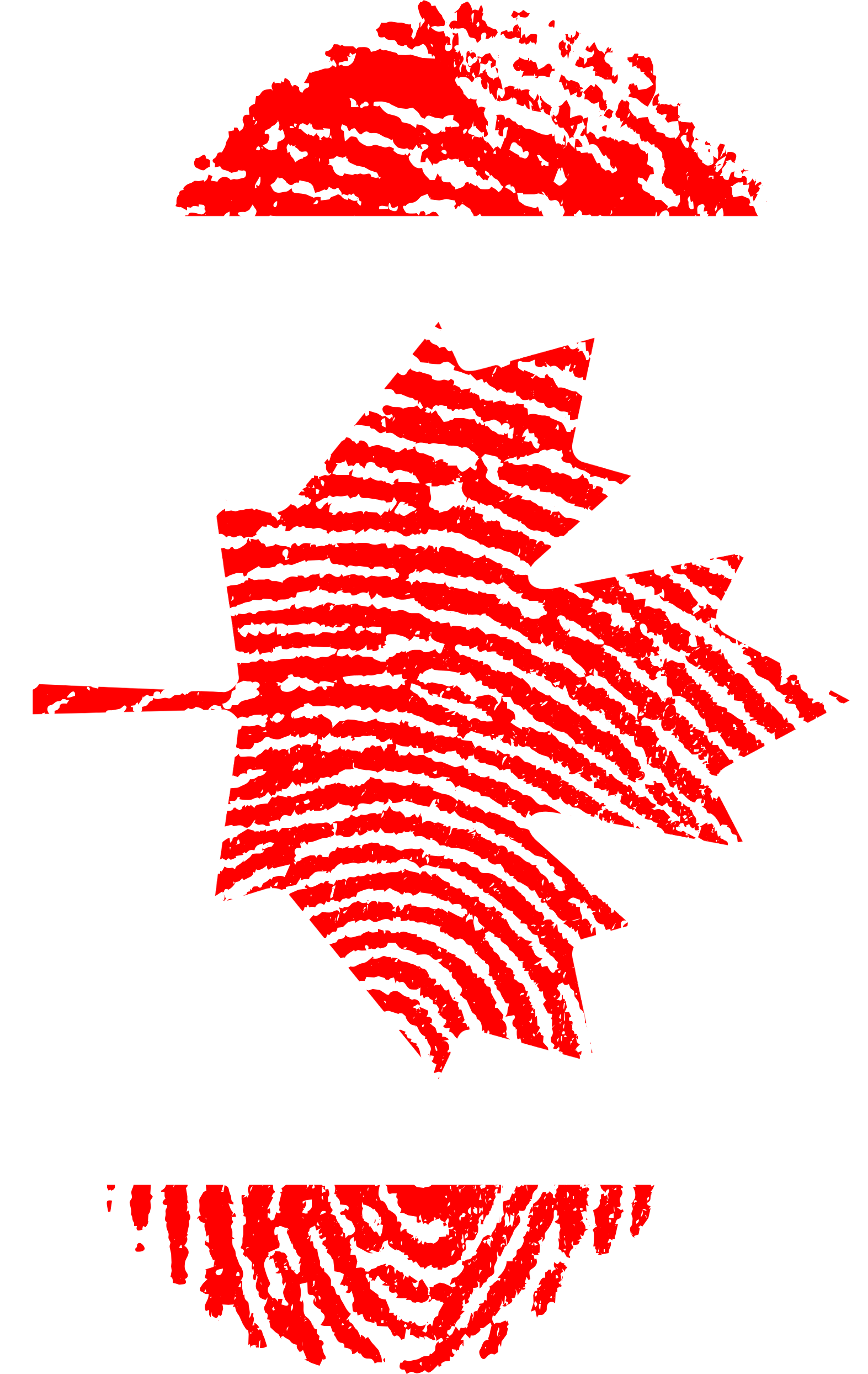 Canada Flag Fingerprint Country 653057 - Canadian Identity Finger Print ...
