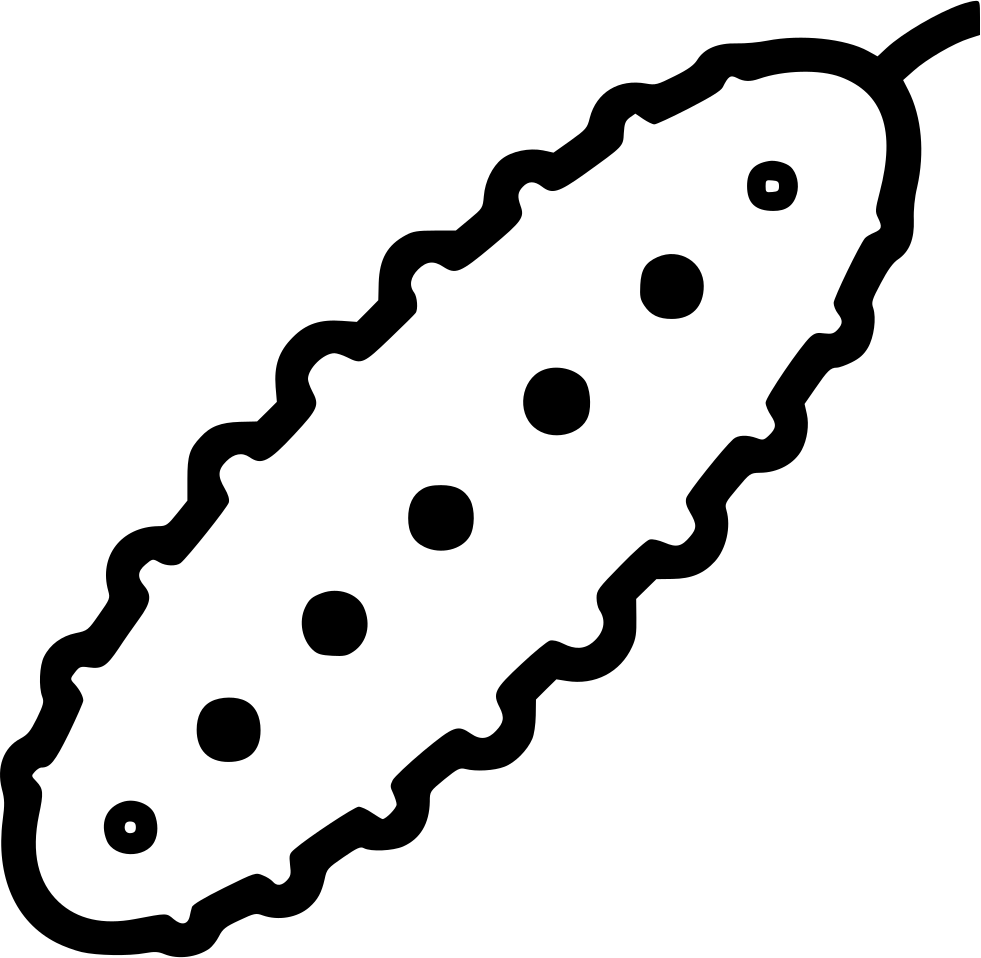 Download Cucumber Comments - Icon PNG Image with No Background - PNGkey.com