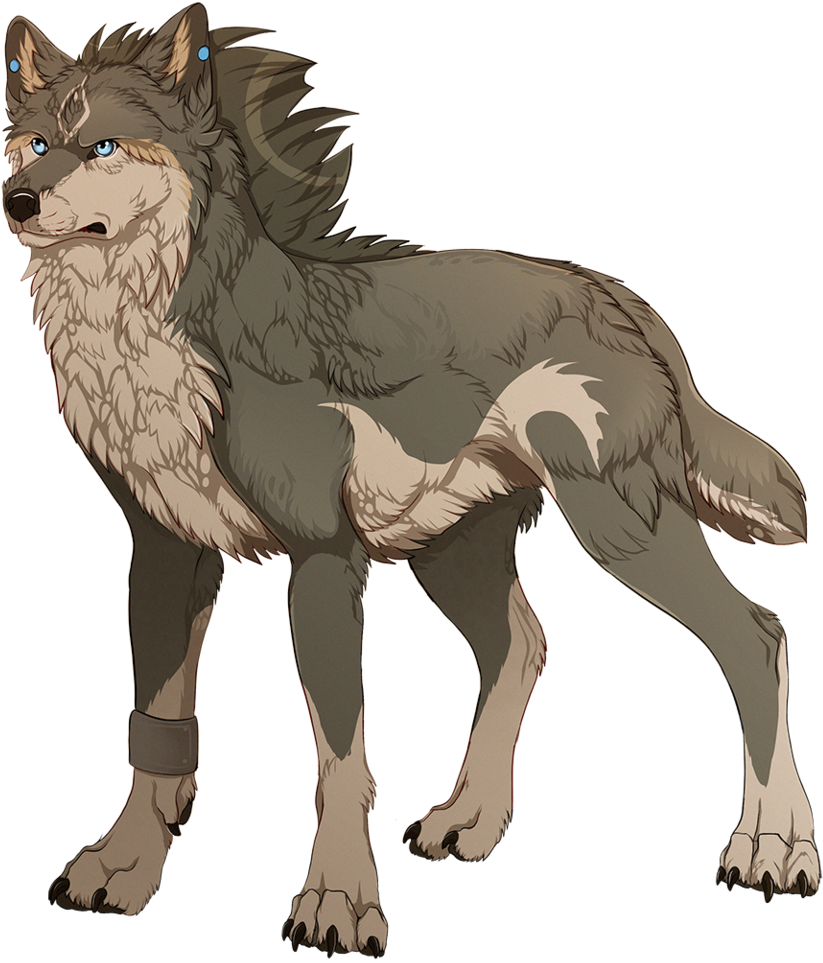 Male Anime Wolf Photo - Spyder Maple - Free Transparent PNG Download ...
