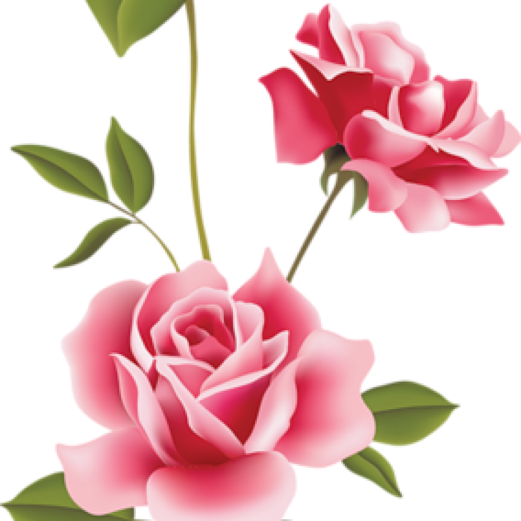 Download Pink Rose Clipart Pink Roses Clip Art Clip Art Spring - Pink Rose Free Clipart PNG ...