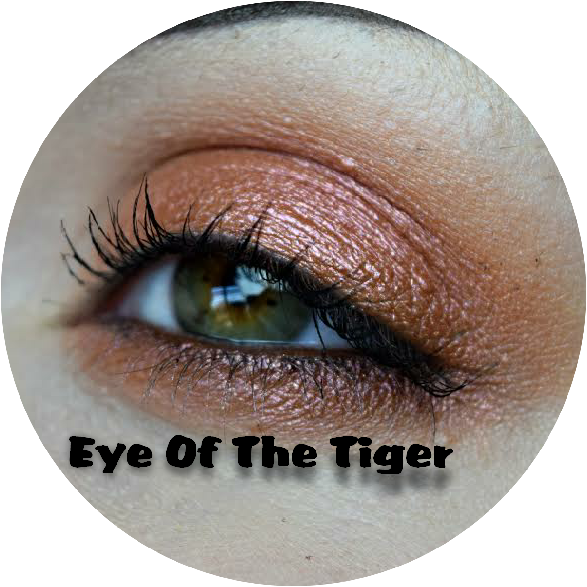 Download Eye Shadow PNG Image with No Background - PNGkey.com