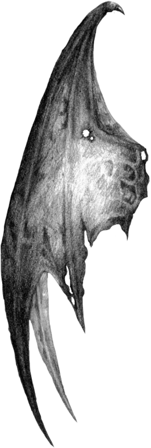 #bat #wing #dark #devil #freetoedit - Demon Wings - Free Transparent ...