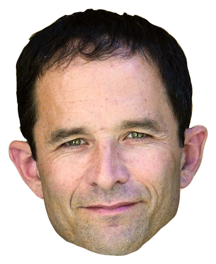 Download Benoit Hamon Png - Man PNG Image with No Background - PNGkey.com