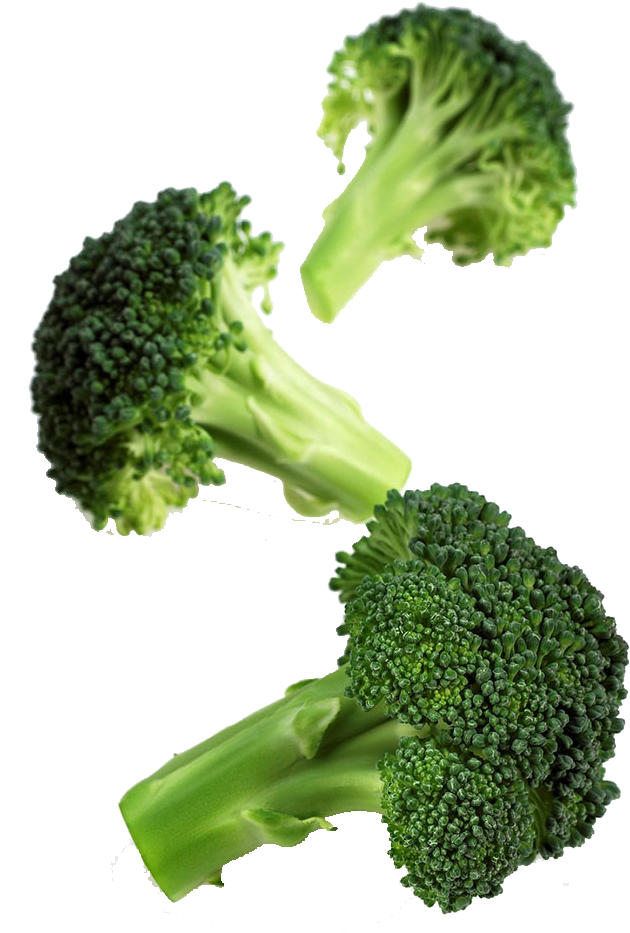 Download Romanesco Broccoli PNG Image with No Background - PNGkey.com