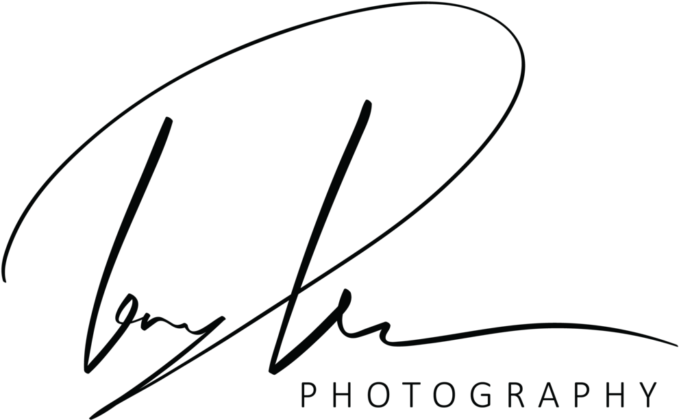 Download Prince Logo Png PNG Image with No Background - PNGkey.com