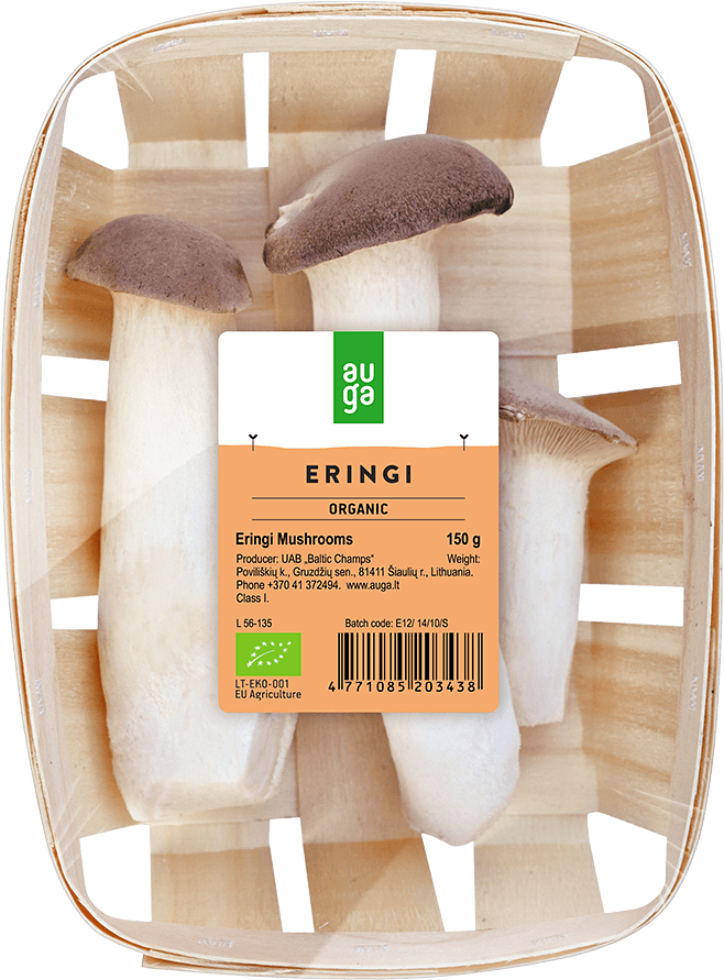 Download Eringi Grybai PNG Image with No Background - PNGkey.com