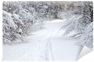 Path In Winter Forest After A Snowfall Wall Mural • - Snow - Free ...
