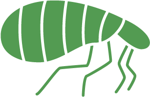 Download Pest Control Service For Fleas - Pro Pacific Pest Control PNG ...