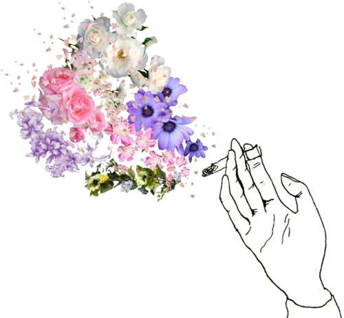Download Cigarette, Flowers, And Smoke Image - Cigarette And Flower ...