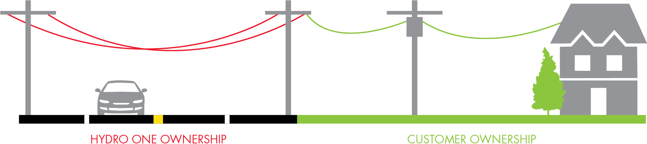 Infographic Depicting The Boundary Between A Hydro - Tree - Free ...