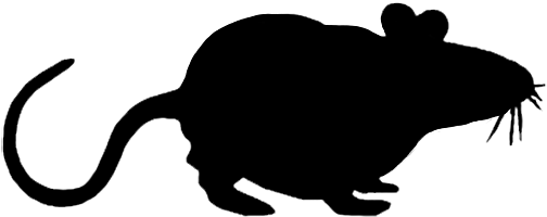 Download Mouse Clip Art - Mouse Silhouette Transparent Background PNG ...