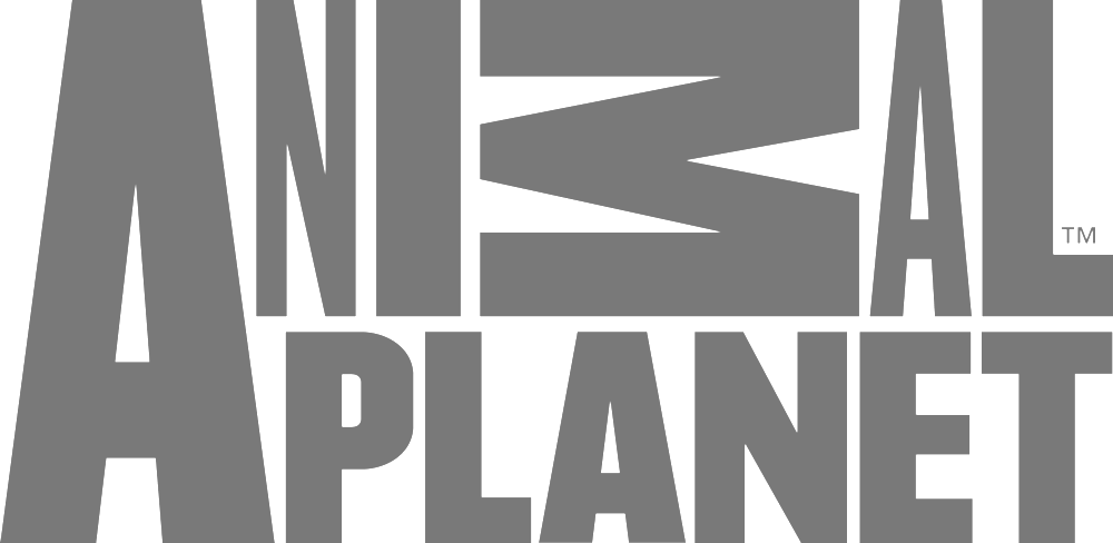 Download Ap PNG Image with No Background - PNGkey.com