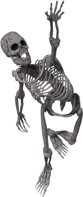 Download Skeleton Png - Skeleton Running Transparent Background PNG ...