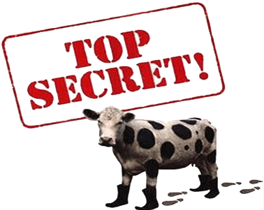 Download Secret Cow - Top Secret Cow Boots PNG Image with No Background ...