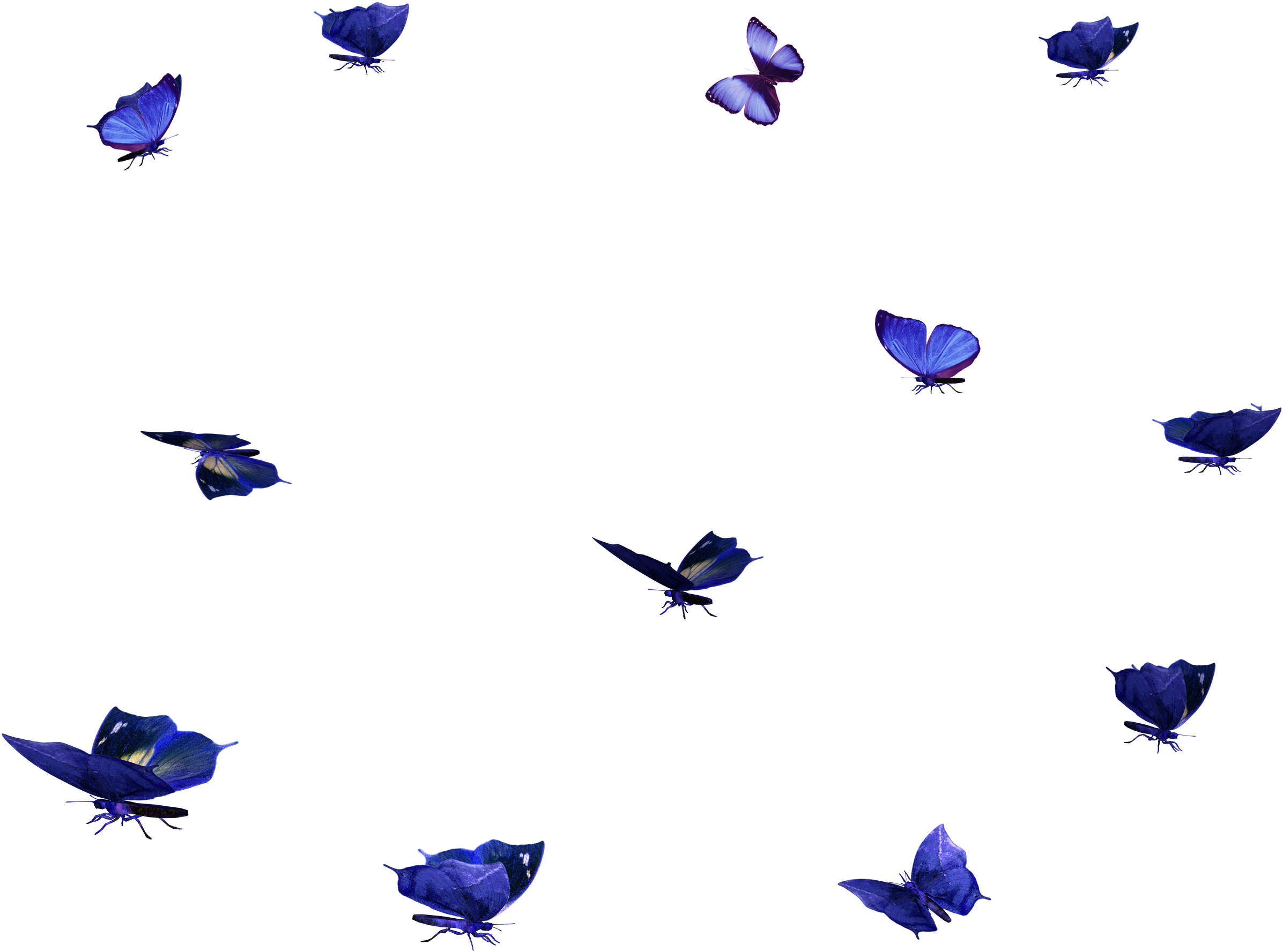 Free Butterfly Photo Overlays, Free Photoshop Overlay, - Butterfly ...