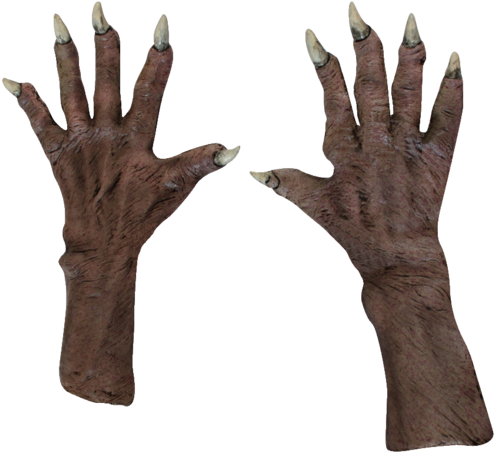 Download Ghoul Zombie Hands Gloves- Deluxe - Ghoul Gloves PNG Image ...